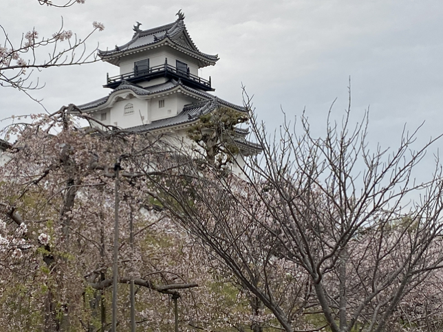 日曜劇場『VIVANT』第4話の最後に出て来た橋はどこ？ – ペーパー2級FPのフリー素材&夢占い事典&投資入門＆話題や雑学